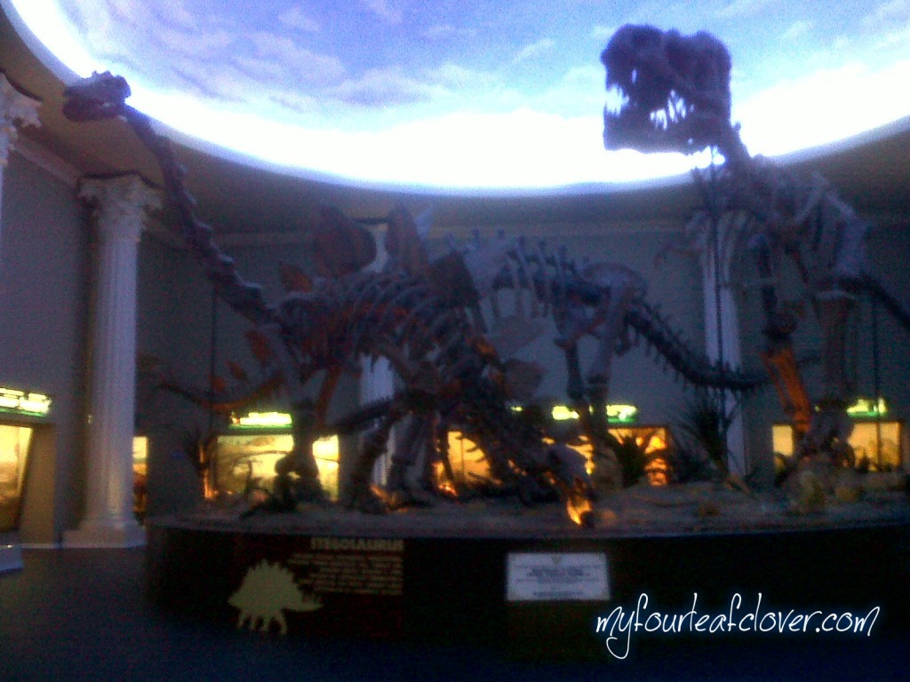 Museum Satwa – Jatim Park 2 | My Fourleafclover